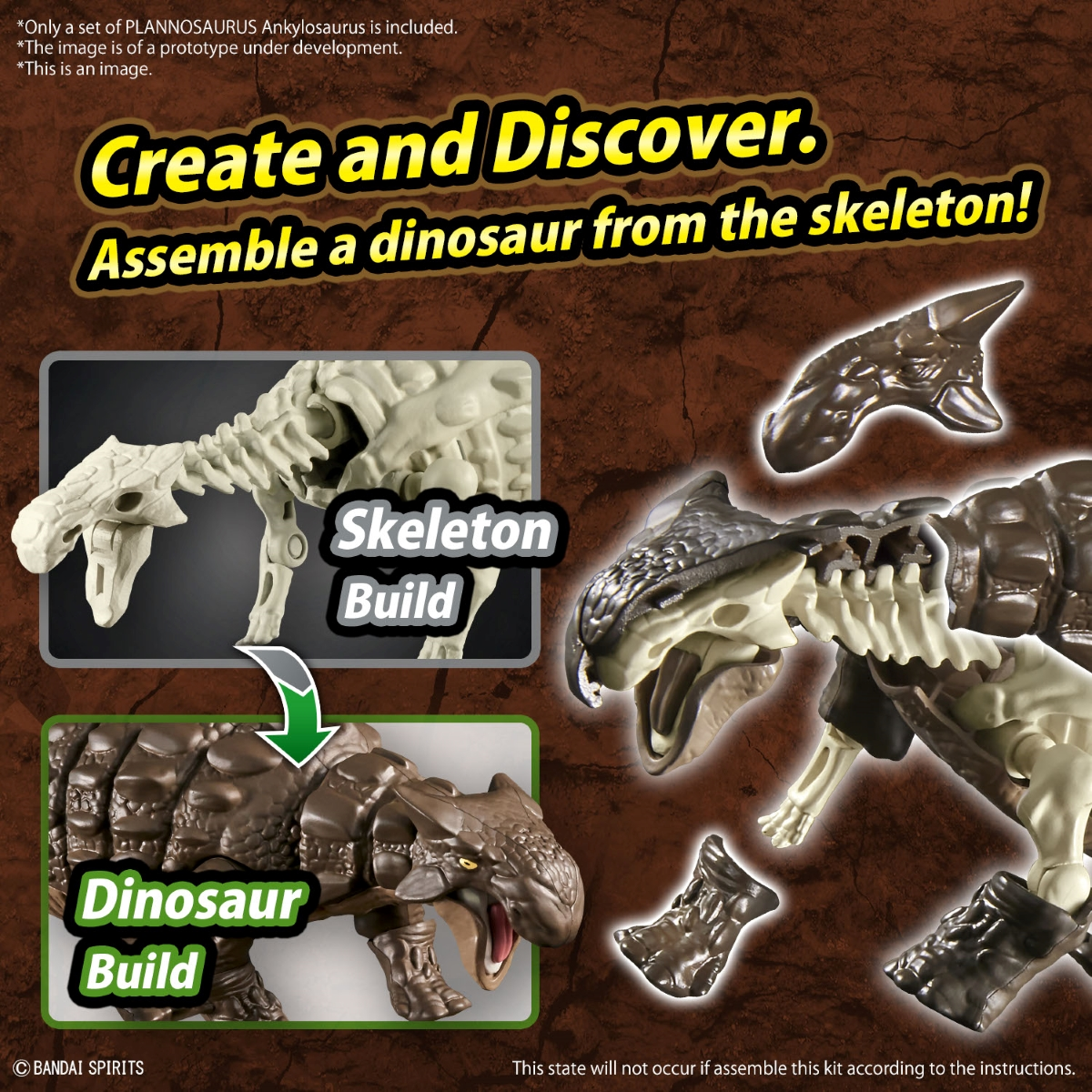 PLANOSAURUS ANKYLOSAURUS – hobbyjr.vancouver